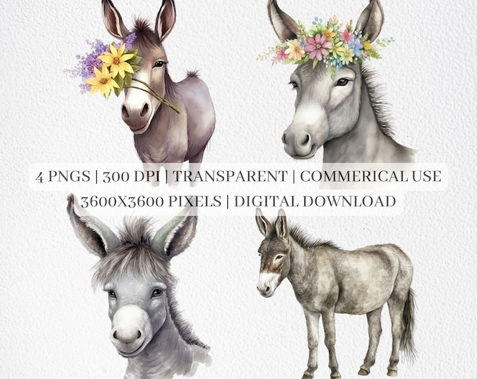 Donkey Clipart, Watercolor Donkey Clipart Digital Paper Commercial Use ...