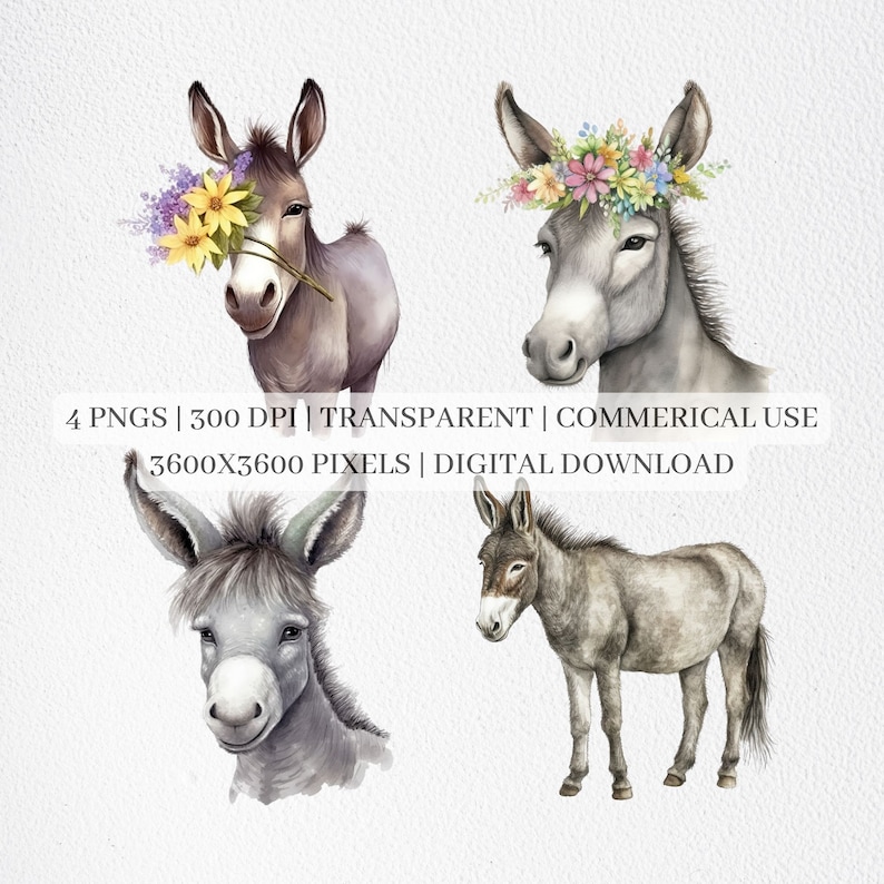 Cute Donkey Clipart Watercolor Donkey PNG Files Donkeys Clip - Etsy