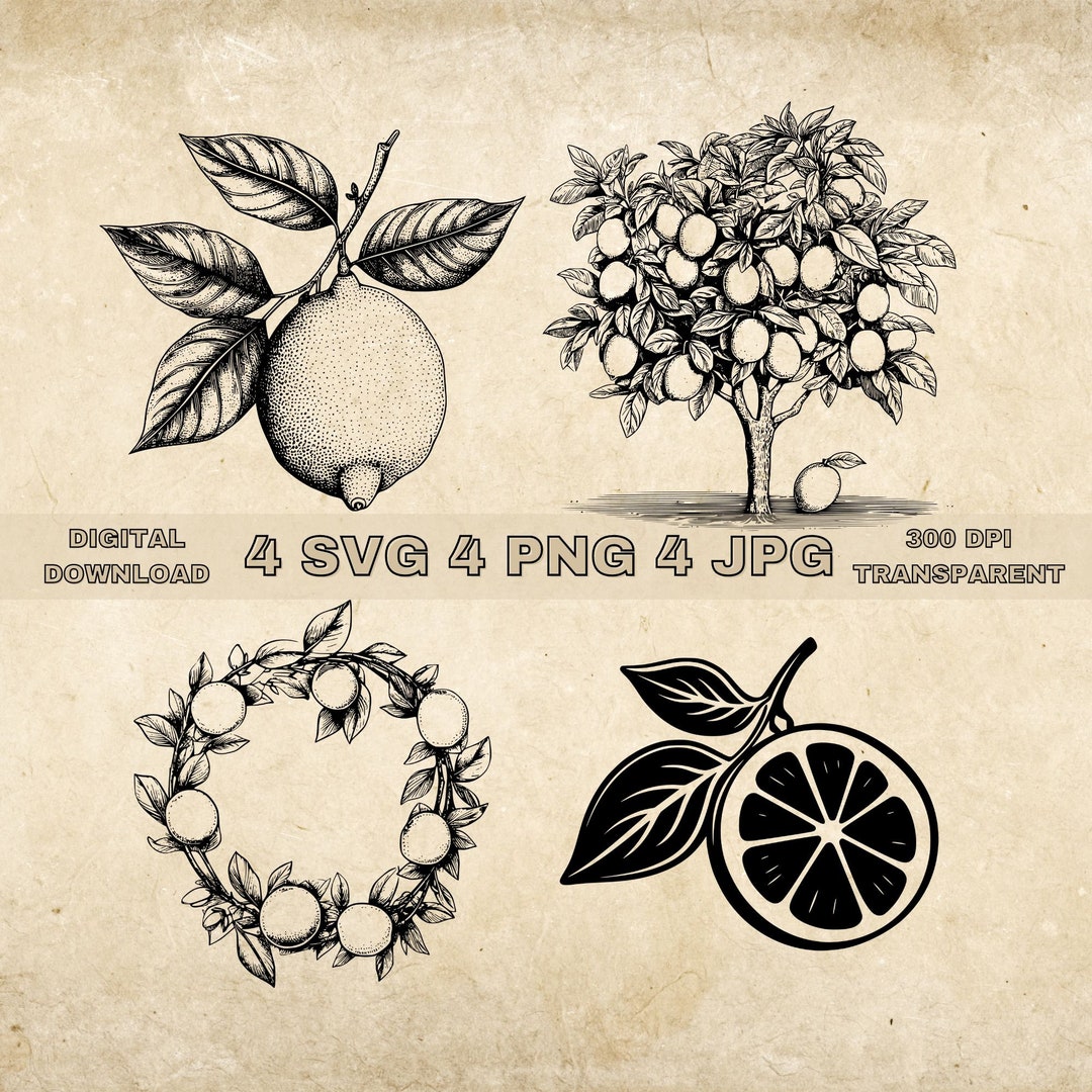 Lemon SVG Bundle, PNG, Lemon Themed Clipart, Hand Drawn Lemons Vector ...