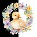 Cute Baby Duck Clipart, Watercolor Little Ducks PNG Files, Animals Clip ...