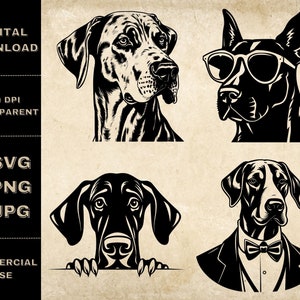 Great Dane SVG Bundle, PNG, Cute Dogs Clipart, Hand Drawn Peeking Dog ...
