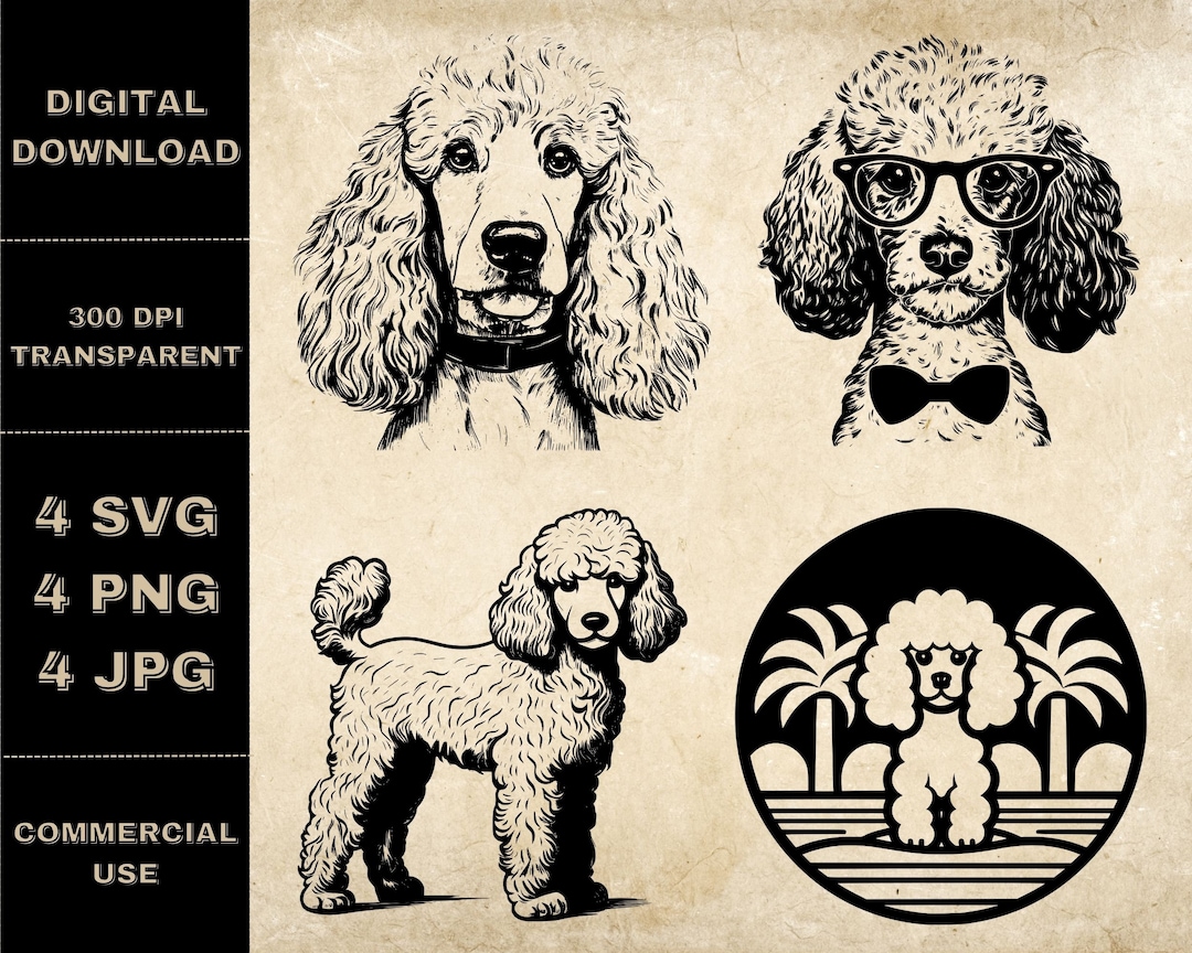 Poodle SVG Bundle, PNG, Cute Dogs Clipart, Hand Drawn Poodle Vector ...