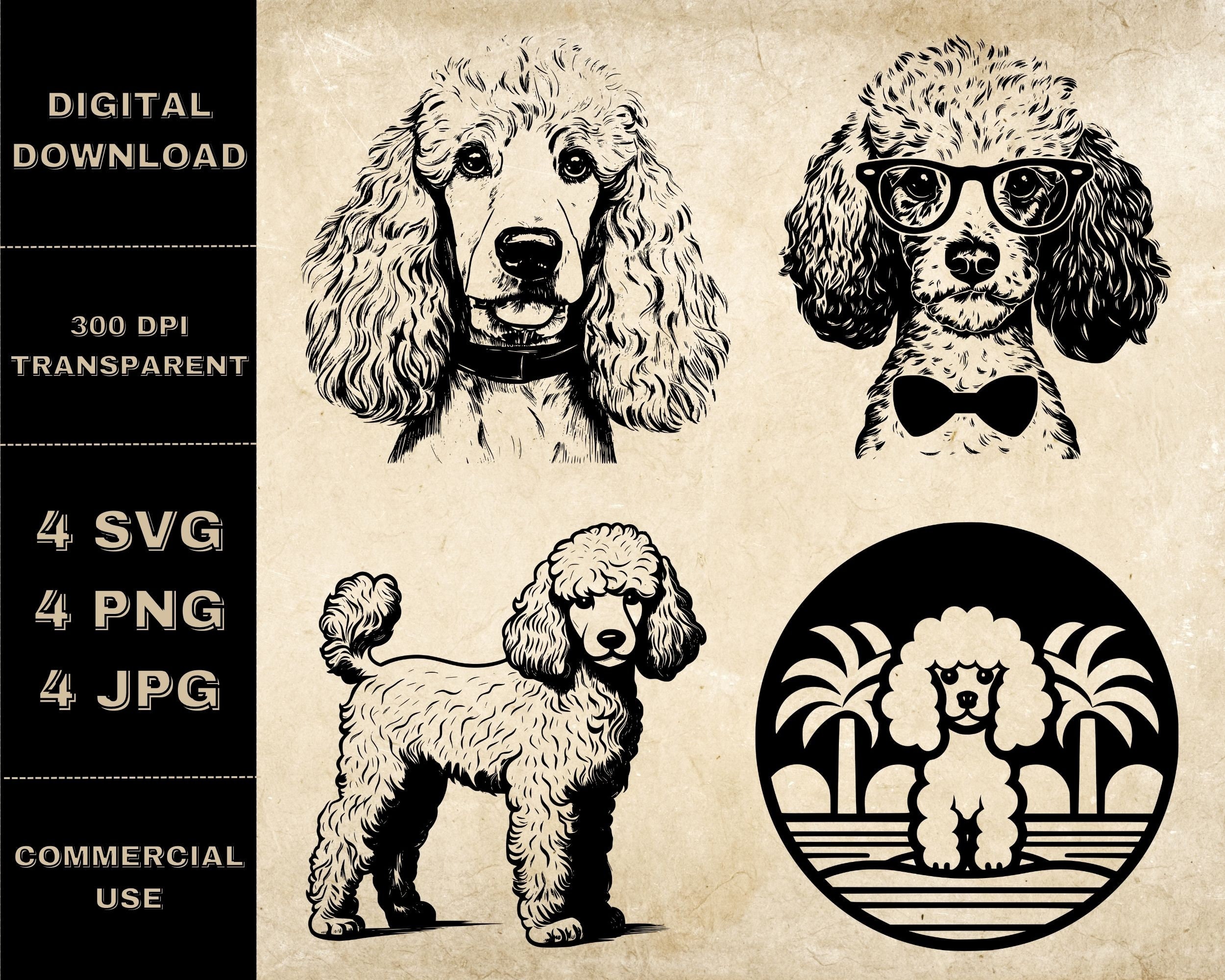 Poodle SVG Bundle, PNG, Cute Dogs Clipart, Hand Drawn Poodle Vector ...