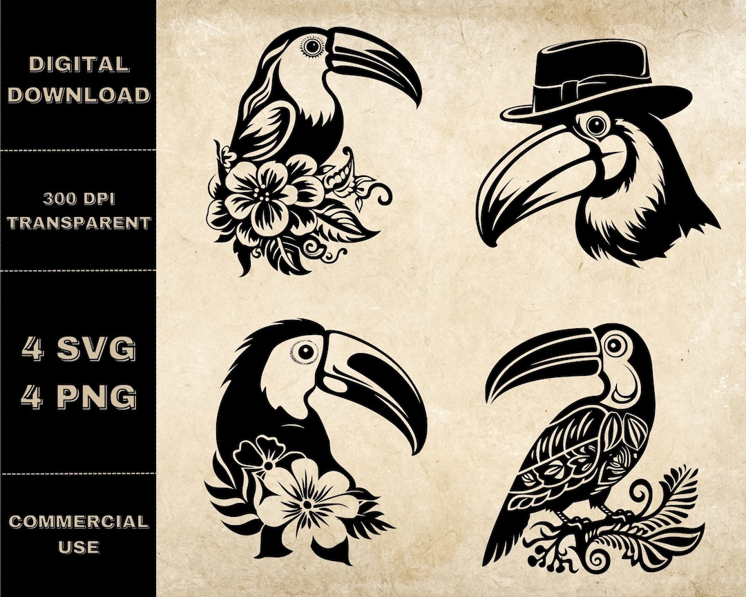 Toucan SVG Bundle, PNG, Tropical Bird Clipart, Hand Drawn Floral Birds ...