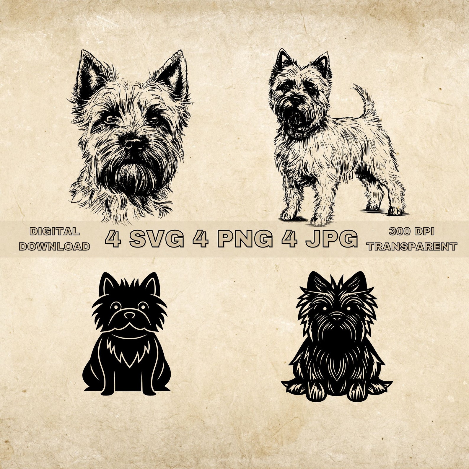 Cairn Terrier SVG Bundle, PNG, Dogs Clipart, Hand Drawn Dog Vector ...