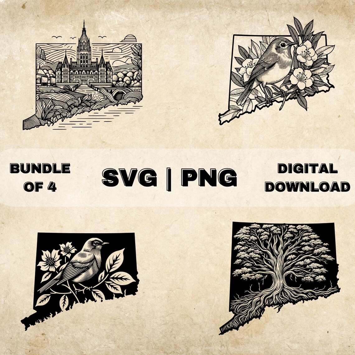Connecticut SVG Bundle, American Robin Clipart, Mountain Laurel Flower ...