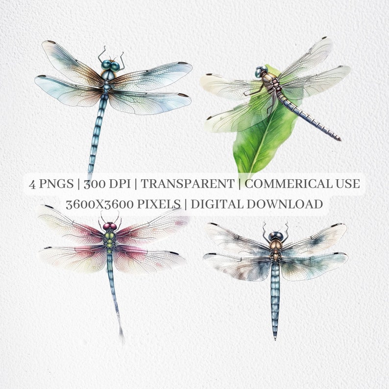 Dragonfly Clipart, Dragonflies PNG Files for Sublimation, Dragonfly ...