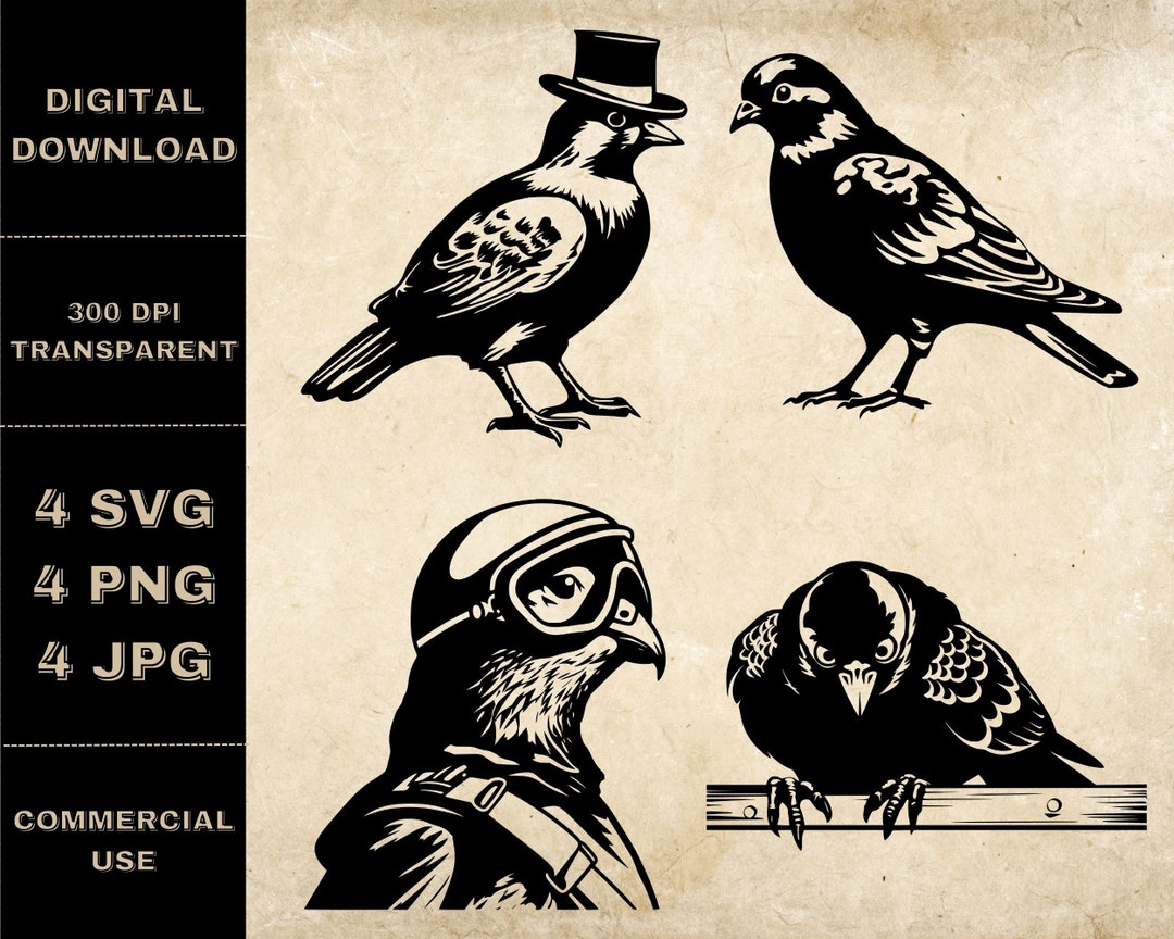 Pigeon SVG Bundle, PNG, Funny Pigeon Clipart, Hand Drawn Pigeons Vector ...