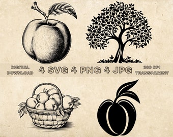 Watercolor Peach Clipart Bundle Peach PNG Peach Design - Etsy