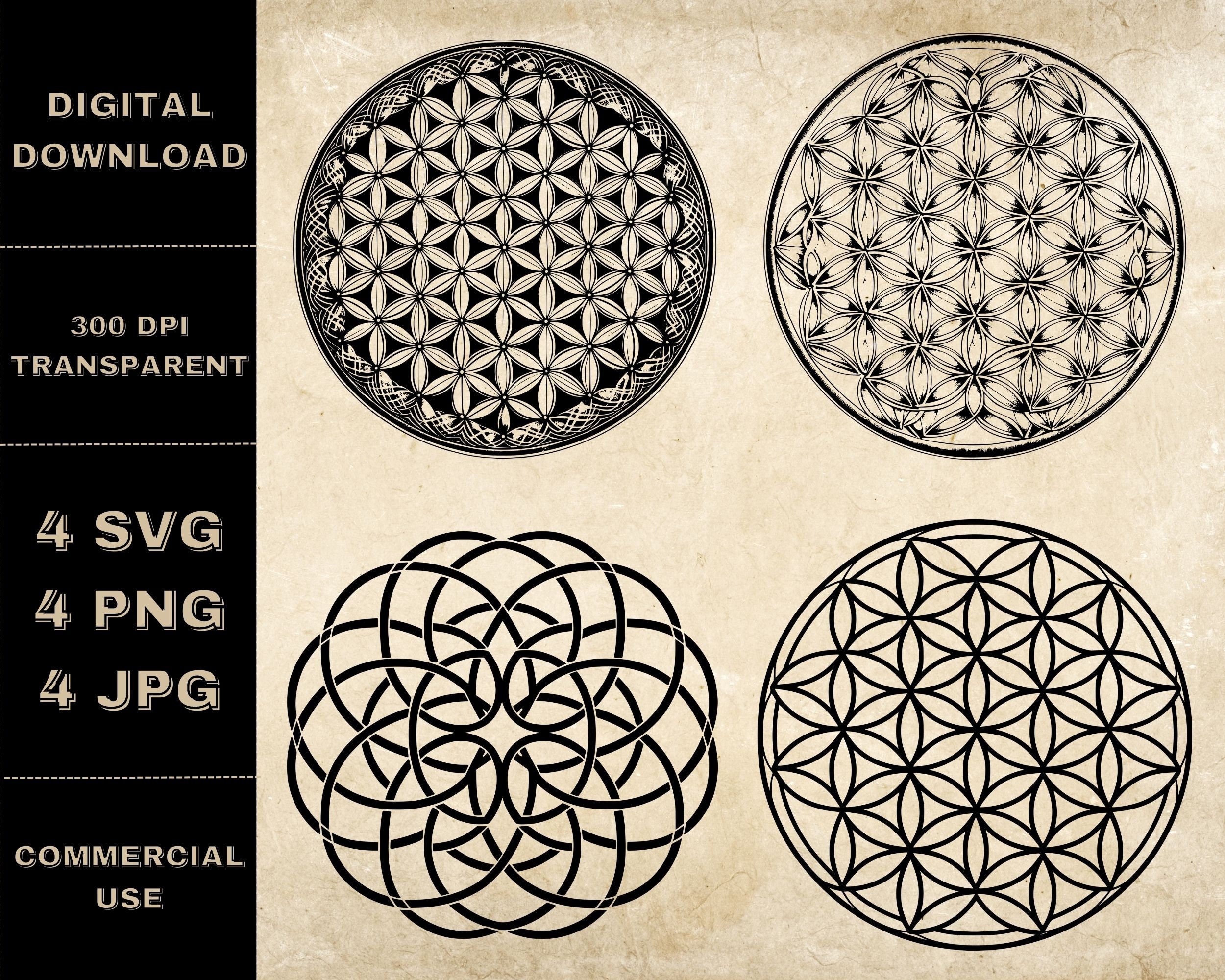 Flower of Life SVG Bundle, PNG, Sacred Geometry Clipart, Hand Drawn ...