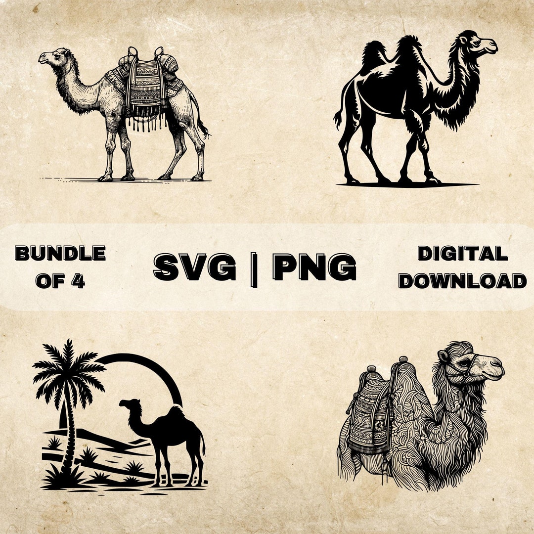 Camel SVG Bundle, Camel Clipart, Hand Drawn Desert Animal Theme Vector ...