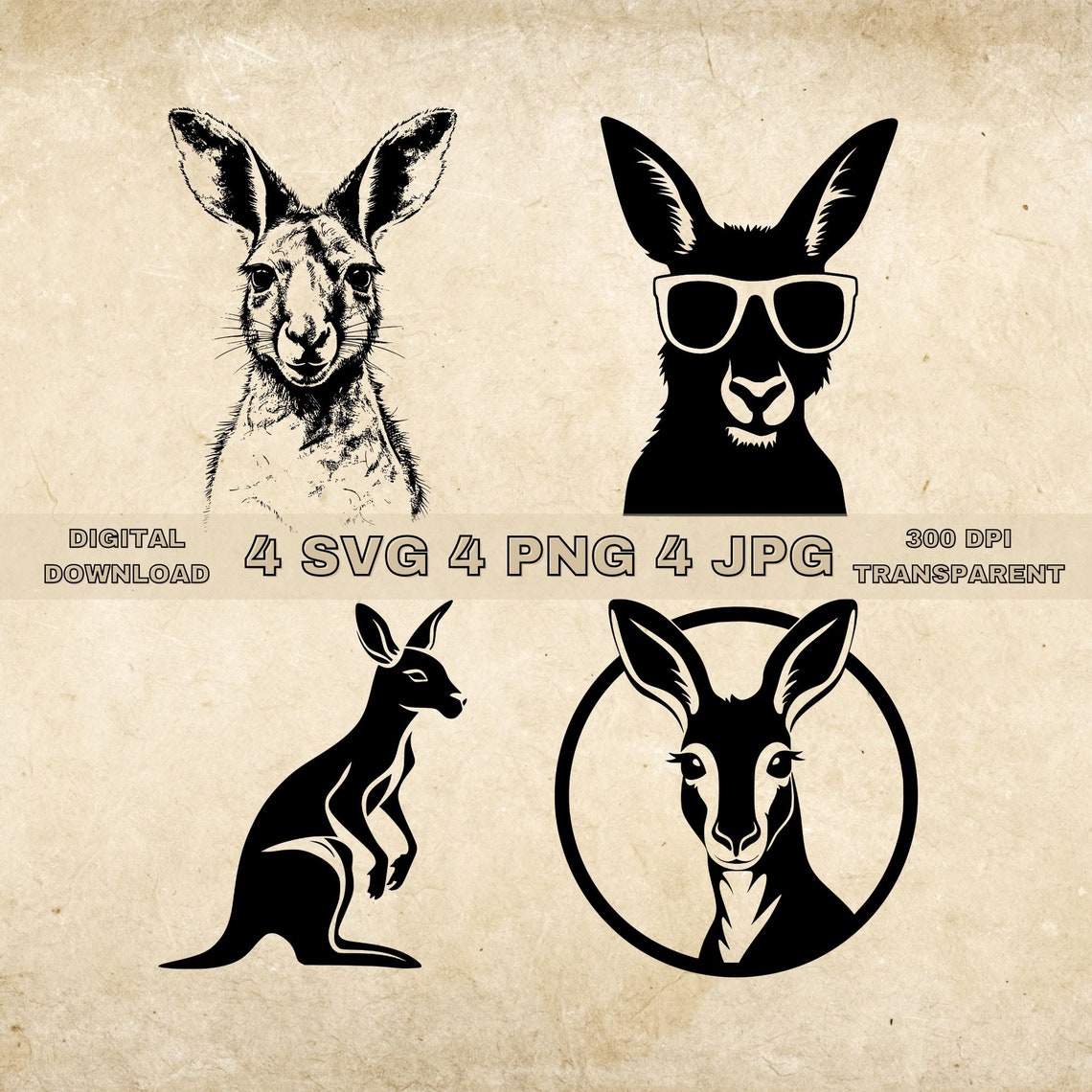 Kangaroo SVG Bundle PNG Kangaroo Clipart Hand Drawn - Etsy