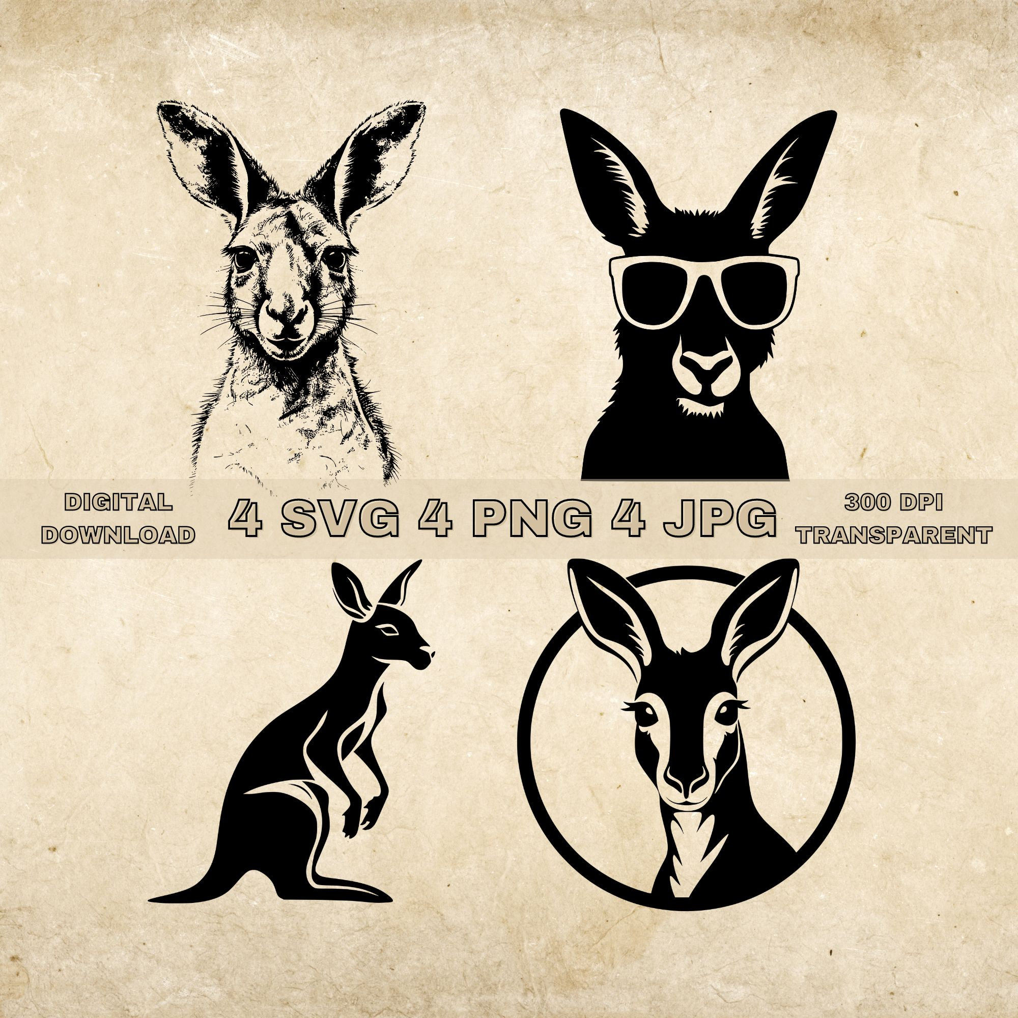 Kangaroo SVG Bundle PNG Kangaroo Clipart Hand Drawn - Etsy Australia