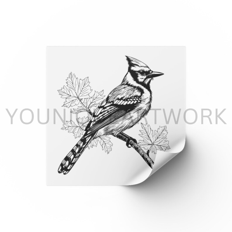Blue Jay SVG Bundle PNG Bird Clipart Hand Drawn Birds - Etsy