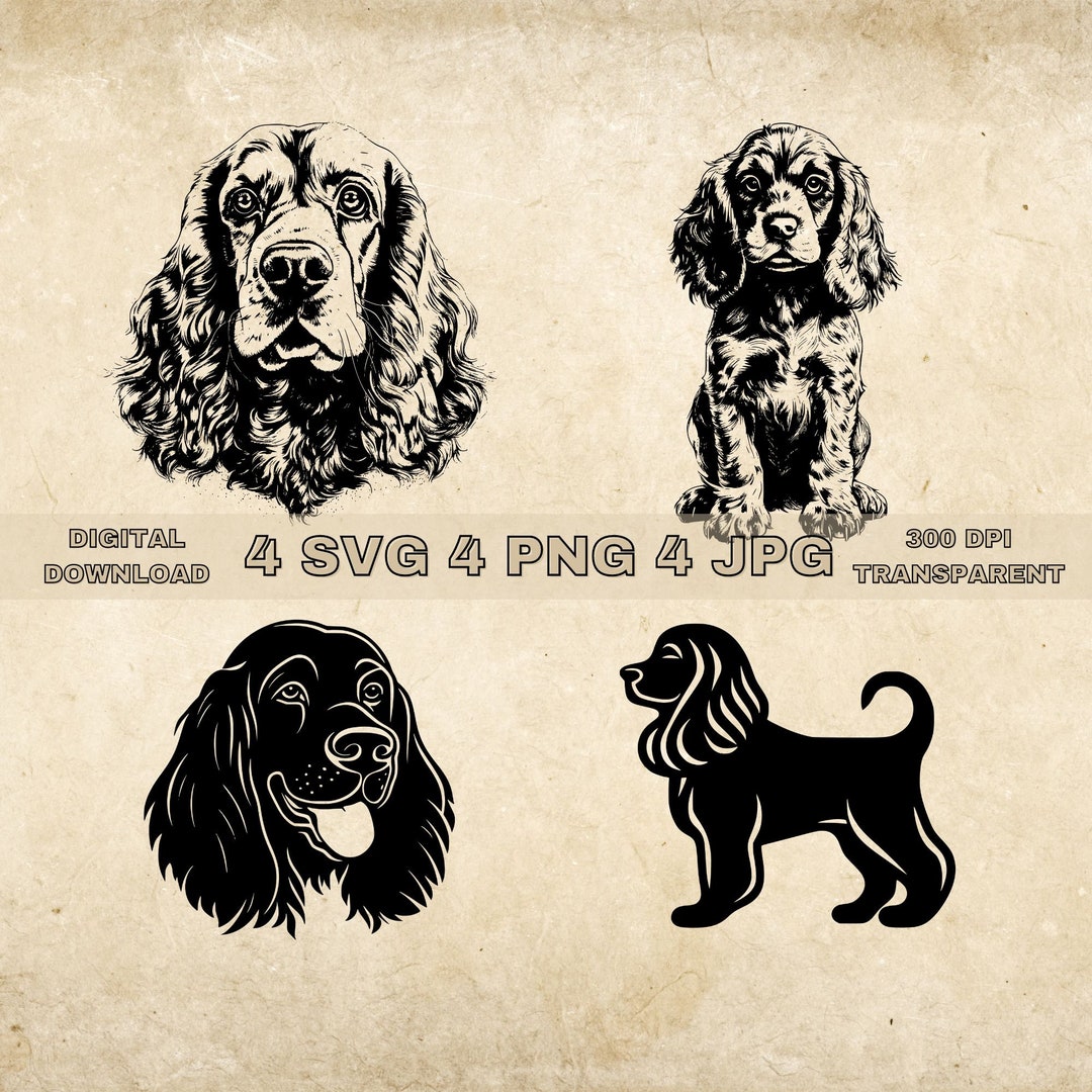 Cocker Spaniel SVG Bundle, PNG, Dogs Clipart, Hand Drawn Dog Vector ...