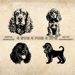 Cocker Spaniel SVG Bundle, PNG, Dogs Clipart, Hand Drawn Dog Vector ...
