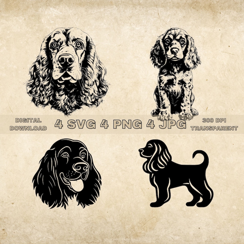 Cocker Spaniel SVG Bundle PNG Dogs Clipart Hand Drawn Dog - Etsy