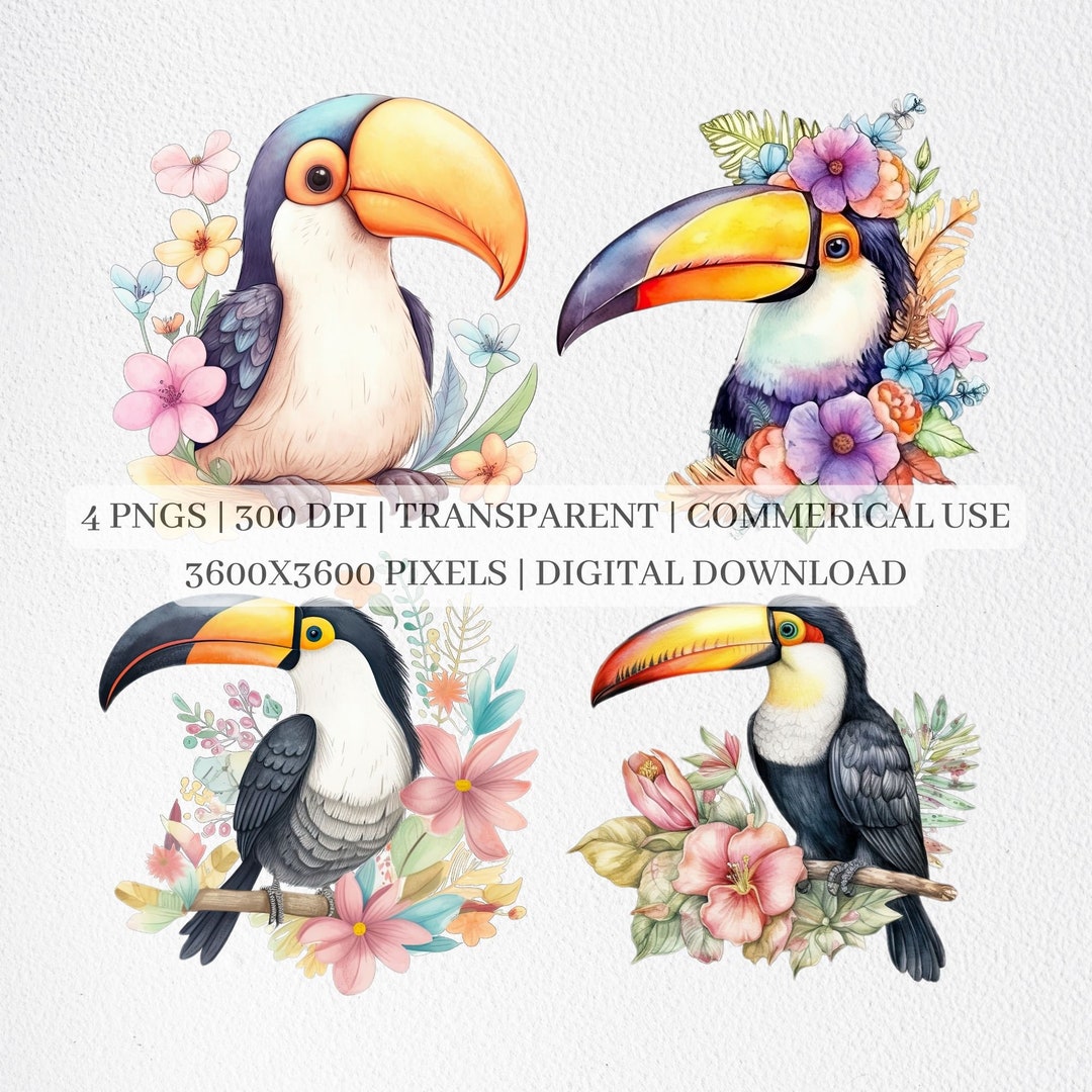 Toucan Clipart, Colorful Birds PNG Files for Sublimation, Floral ...