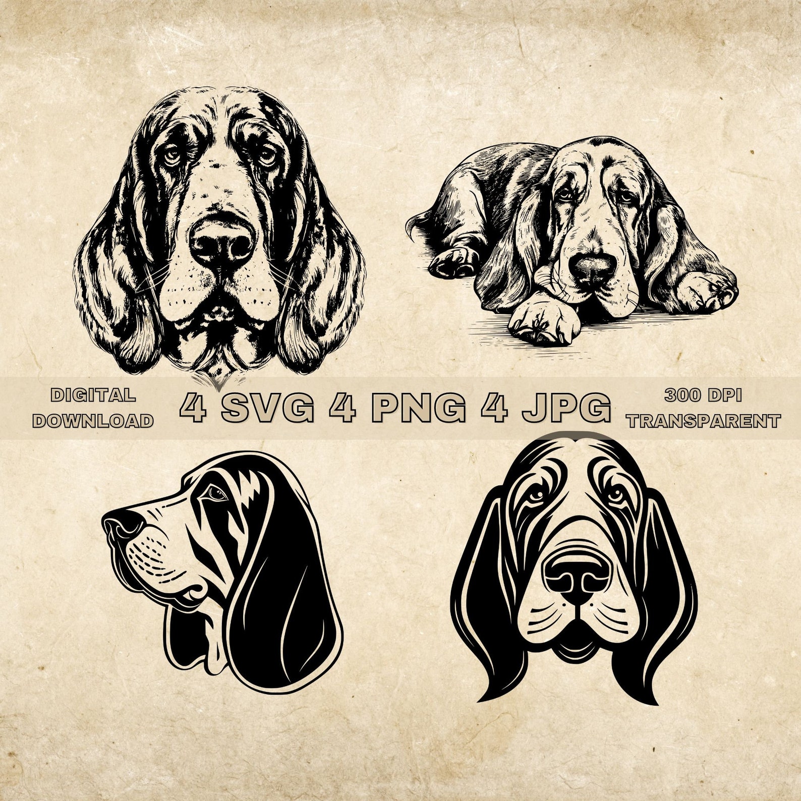 Basset Hound SVG Bundle, PNG, Cute Dogs Clipart, Hand Drawn Dog Vector ...