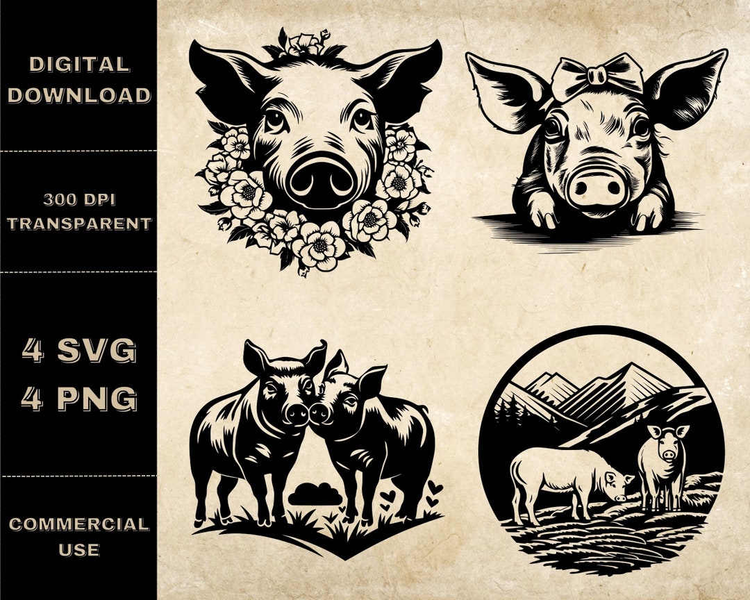Pig SVG Bundle, PNG, Cute Pig Clipart, Hand Drawn Pig Lover Vector ...