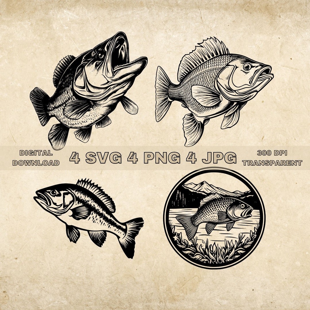 Bass Fish SVG Bundle, PNG, Fishing Themed Clipart, Hand Drawn Fish ...