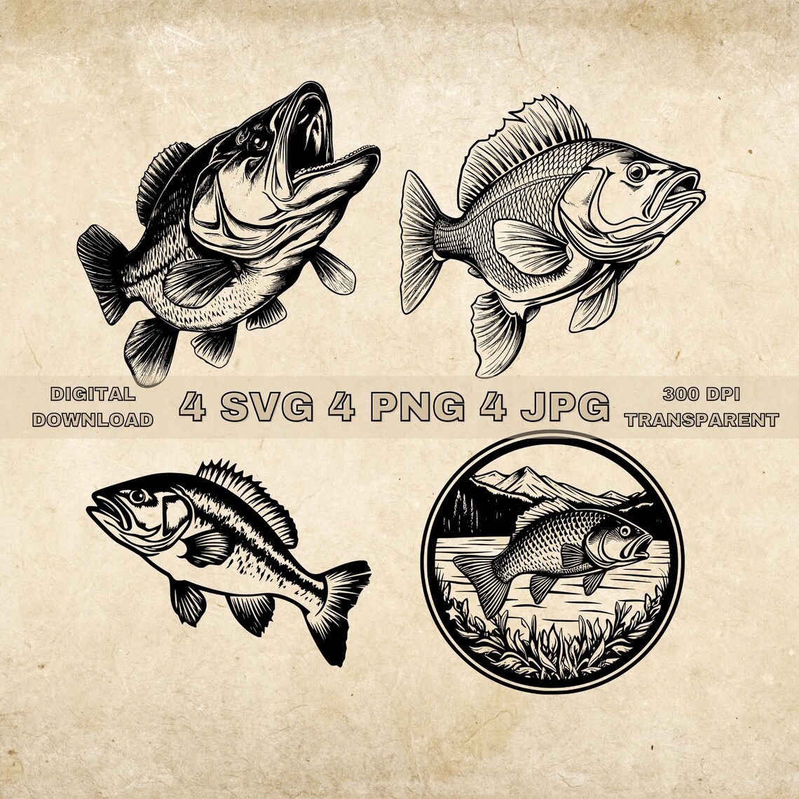 Bass Fish SVG Bundle PNG Fishing Themed Clipart Hand Drawn - Etsy
