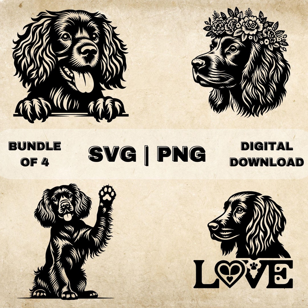 Boykin Spaniel SVG Bundle, Boykin Spaniel Clipart, Hand Drawn Dog Theme ...