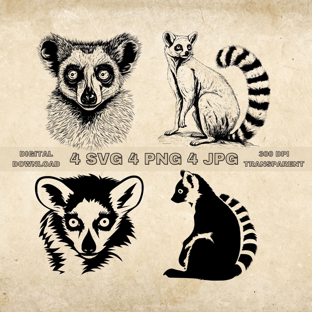 Lemur SVG Bundle, PNG, Lemur Clipart, Hand Drawn Lemur Vector ...