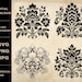 Damask SVG Bundle, PNG, Damask Clipart, Hand Drawn Damask Vector ...