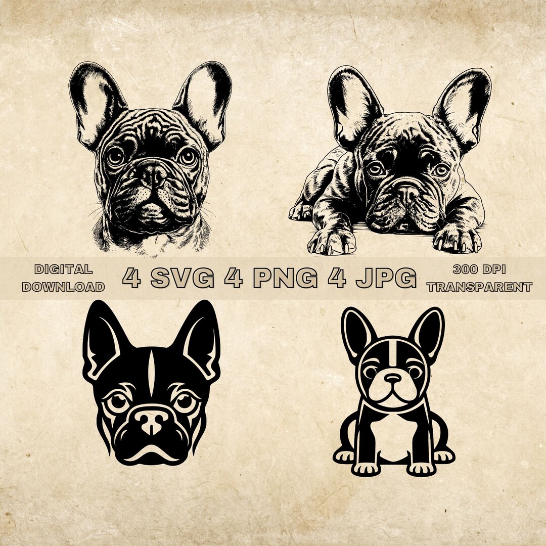 French Bulldog SVG Bundle, PNG, Cute Dogs Clipart, Hand Drawn Dog ...