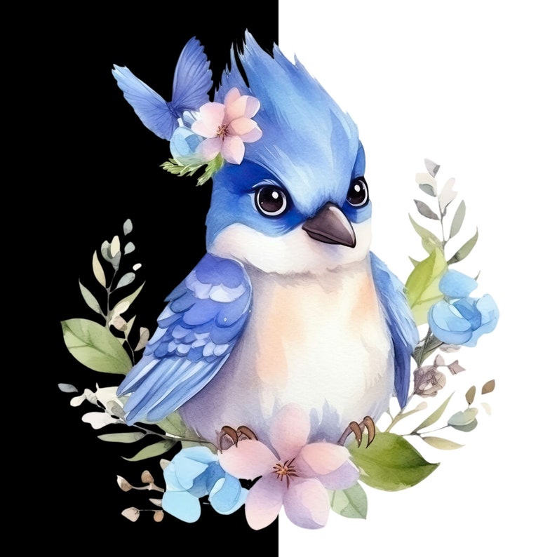 Blue Jay Clipart Watercolor Bluejay PNG Files Cute Floral - Etsy