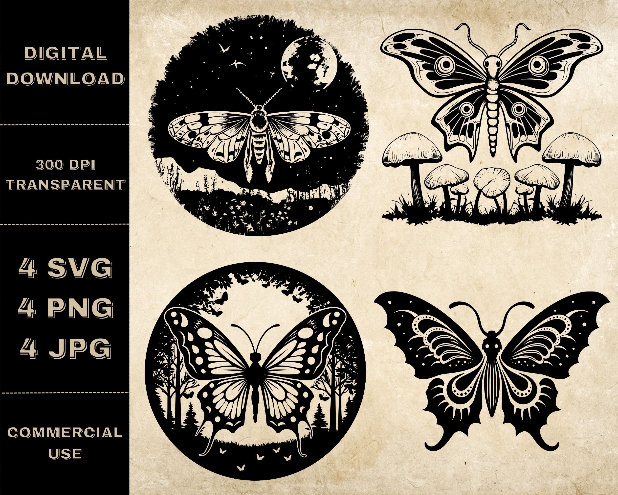 Luna Moth SVG Bundle, PNG, Moth Clipart, Hand Drawn Celestial Butterfly ...