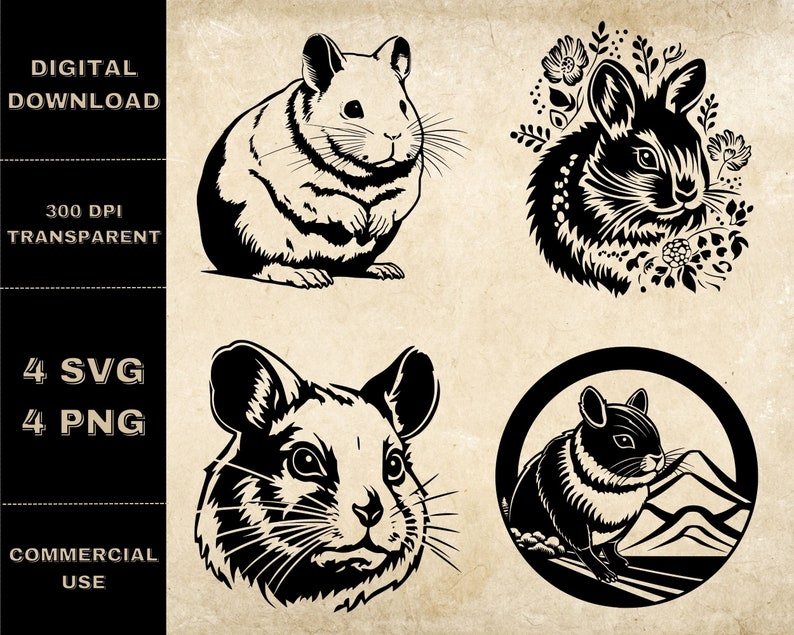 Chinchilla SVG Bundle PNG Chinchilla Clipart Hand Drawn - Etsy