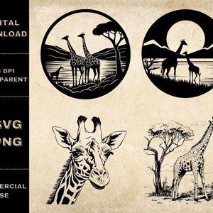 Giraffe SVG Bundle, PNG, Safari Animal Clipart, Hand Drawn Giraffe ...