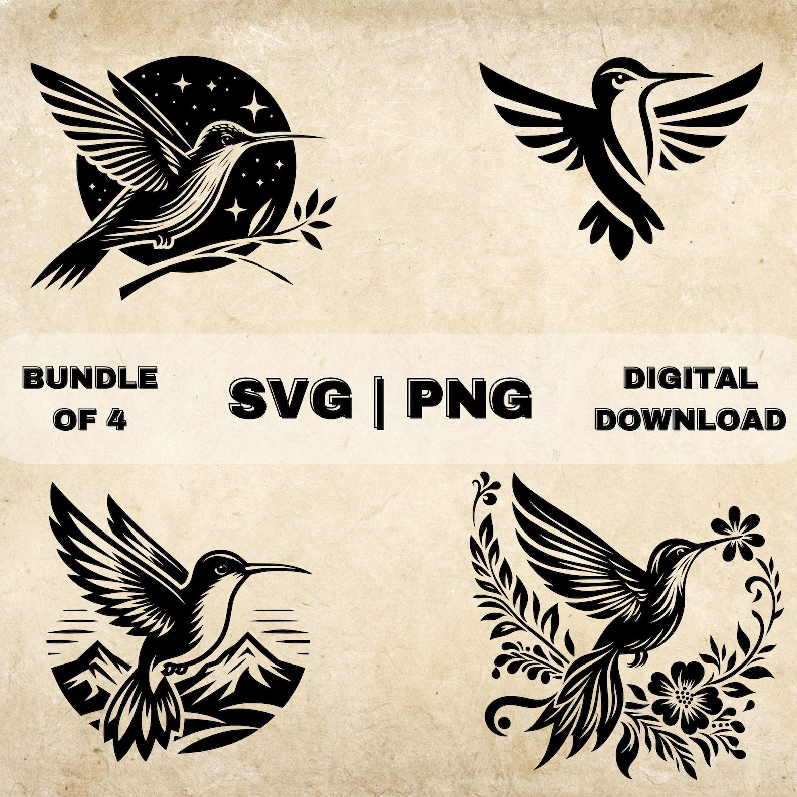 Hummingbird SVG Bundle, Bird Clipart, Hand Drawn Birds Theme Vector ...