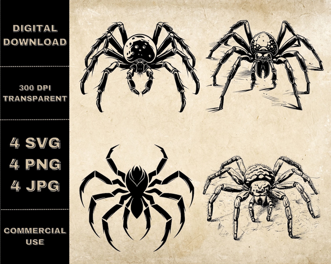 Tarantula SVG Bundle, PNG, Spider Clipart, Hand Drawn Tarantula Vector ...