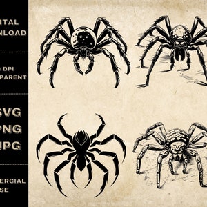Tarantula SVG Bundle, PNG, Spider Clipart, Hand Drawn Tarantula Vector ...