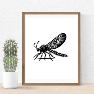 Mayfly SVG Bundle, Mayfly Clipart, Hand Drawn Insect Theme Vector ...