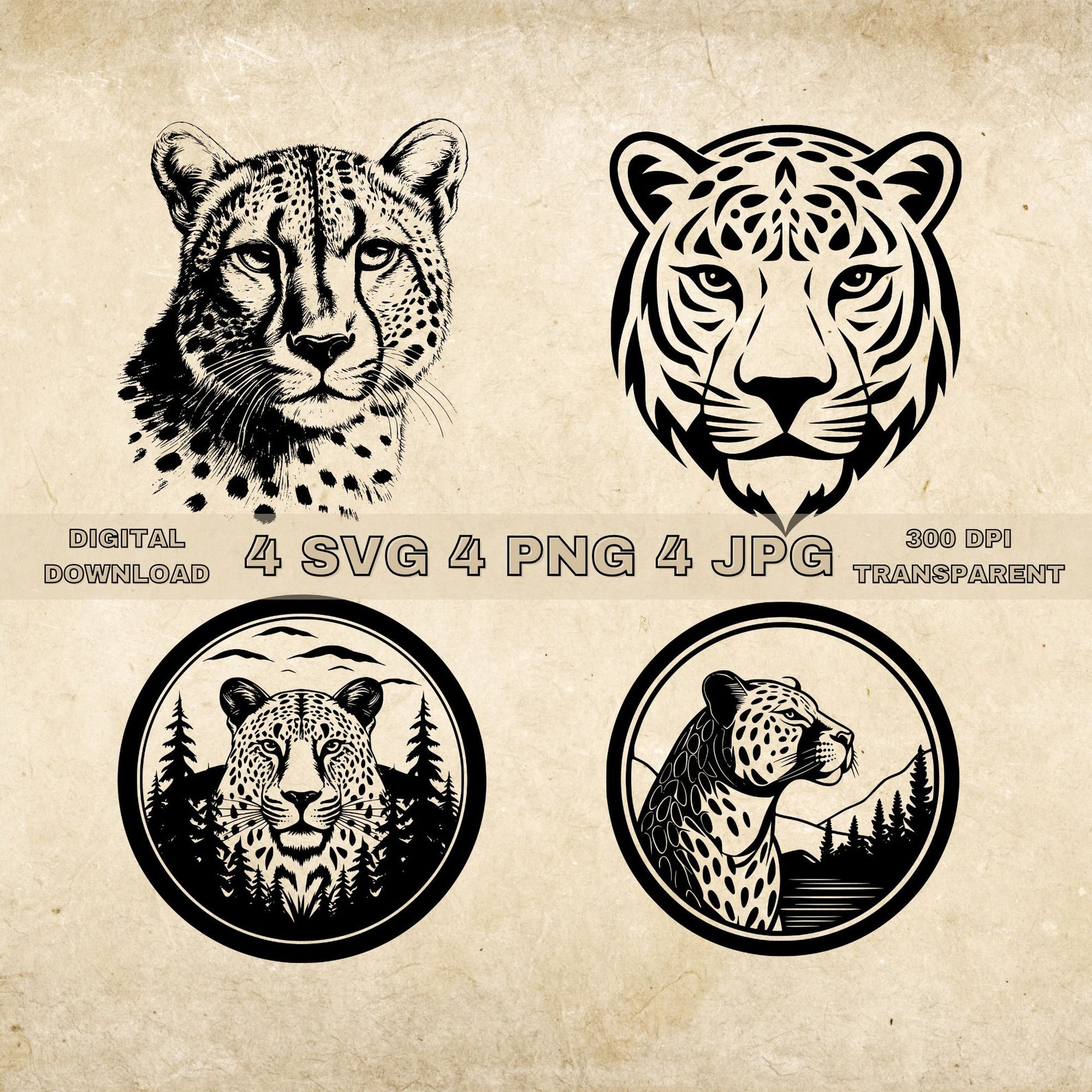 Cheetah SVG Bundle PNG Wild Animal Clipart Hand Drawn - Etsy