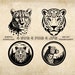 Cheetah SVG Bundle, PNG, Wild Animal Clipart, Hand Drawn Cheetah Vector ...