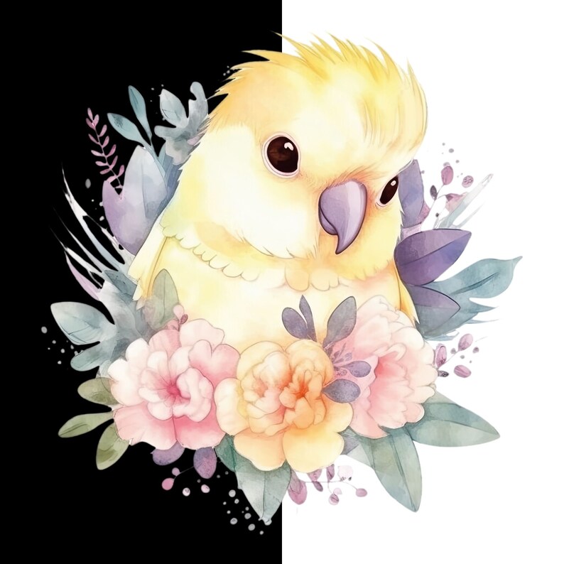Watercolor Cockatiel Clipart Cockatiel PNG Cute Birds Clip - Etsy