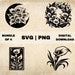 Calla Lily SVG Bundle, Calla Lilies Flowers Clipart, Hand Drawn Floral ...