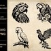 Cockatoo SVG Bundle, PNG, Tropical Bird Clipart, Hand Drawn Exotic ...