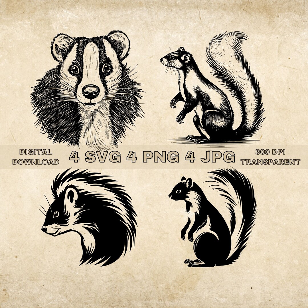 Skunk SVG Bundle, PNG, Skunk Clipart, Hand Drawn Skunks Vector ...