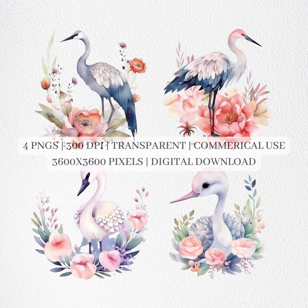 Cute Crane Clipart, Watercolor Crane PNG Files, Flightless Bird Clip ...