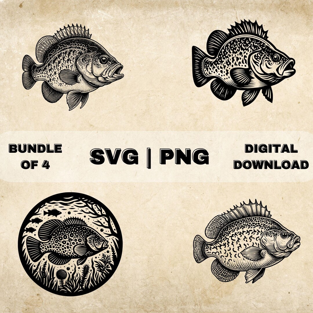 Crappie Fish SVG Bundle, Fishing Clipart, Hand Drawn Crappie Fisherman ...
