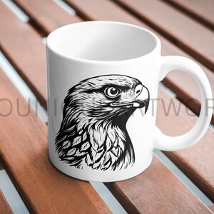 Falcon SVG Bundle, PNG, Falcon Clipart, Hand Drawn Falcons Vector ...