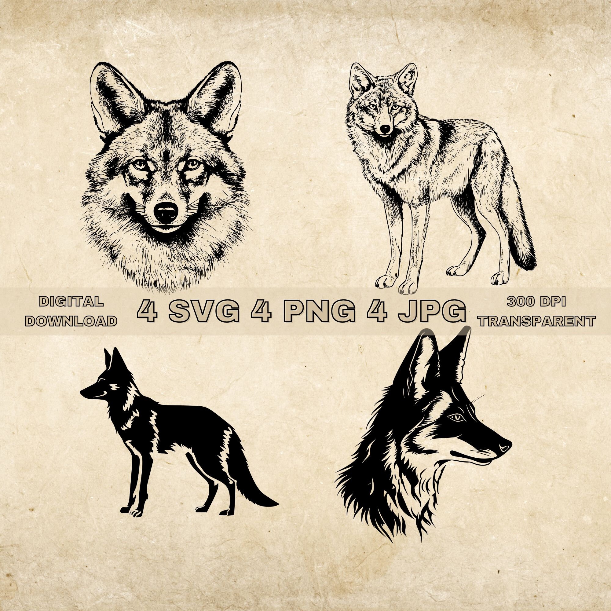 Coyote SVG Bundle, PNG, Coyote Clipart, Hand Drawn Coyotes Vector ...