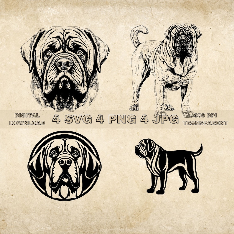 Mastiff SVG Bundle, PNG, Cute Dogs Clipart, Hand Drawn Dog Vector ...