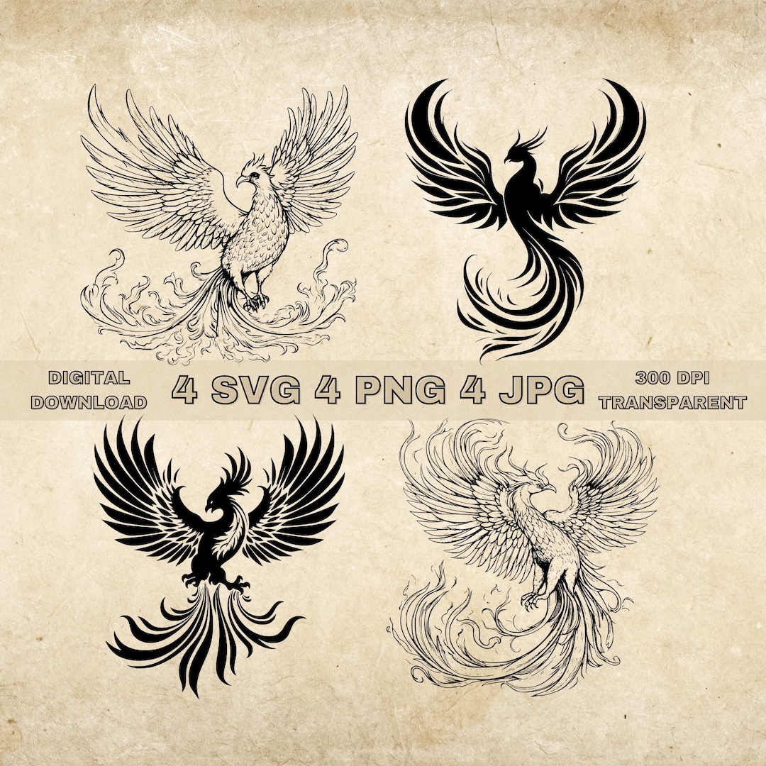Phoenix SVG Bundle, PNG, Phoenix Clipart, Hand Drawn Phoenix Vector ...